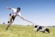 How To Stop My Dog Running After Other Dogs: The Complete Blueprint