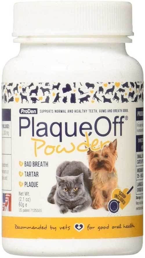 10 Tips on How to Clean a Dog's Teeth Without Brushing