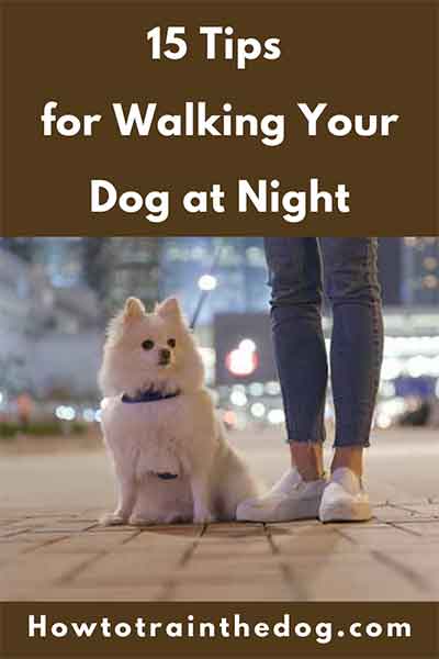 15 Tips for Walking Your Dog at Night
