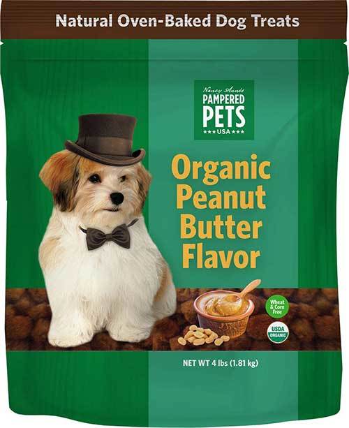 Can Dogs Eat Peanut Butter? Will It Make Him Sick?