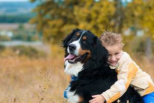 Big Dog Names - The Ultimate List [150+ Awesome Names]