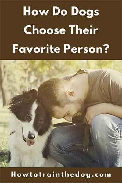 How Do Dogs Choose Their Favorite Person? Find Out Here!