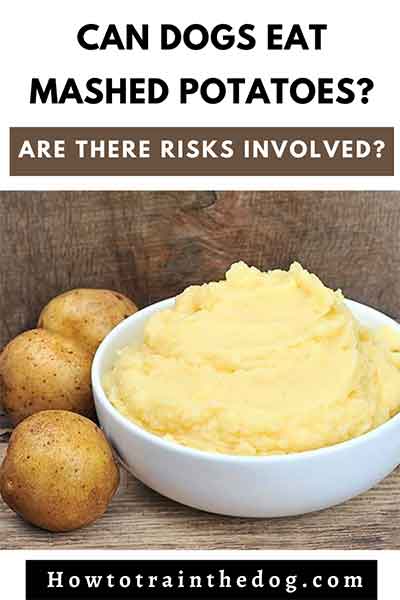 Can Dogs Eat Mashed Potatoes? Or Are There Risks Involved?
