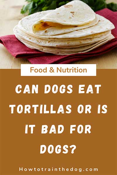 Can Dogs Eat Tortillas? Read Before You Feed!