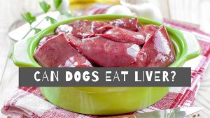 Can Dogs Eat Liver? Is It Safe For Them?